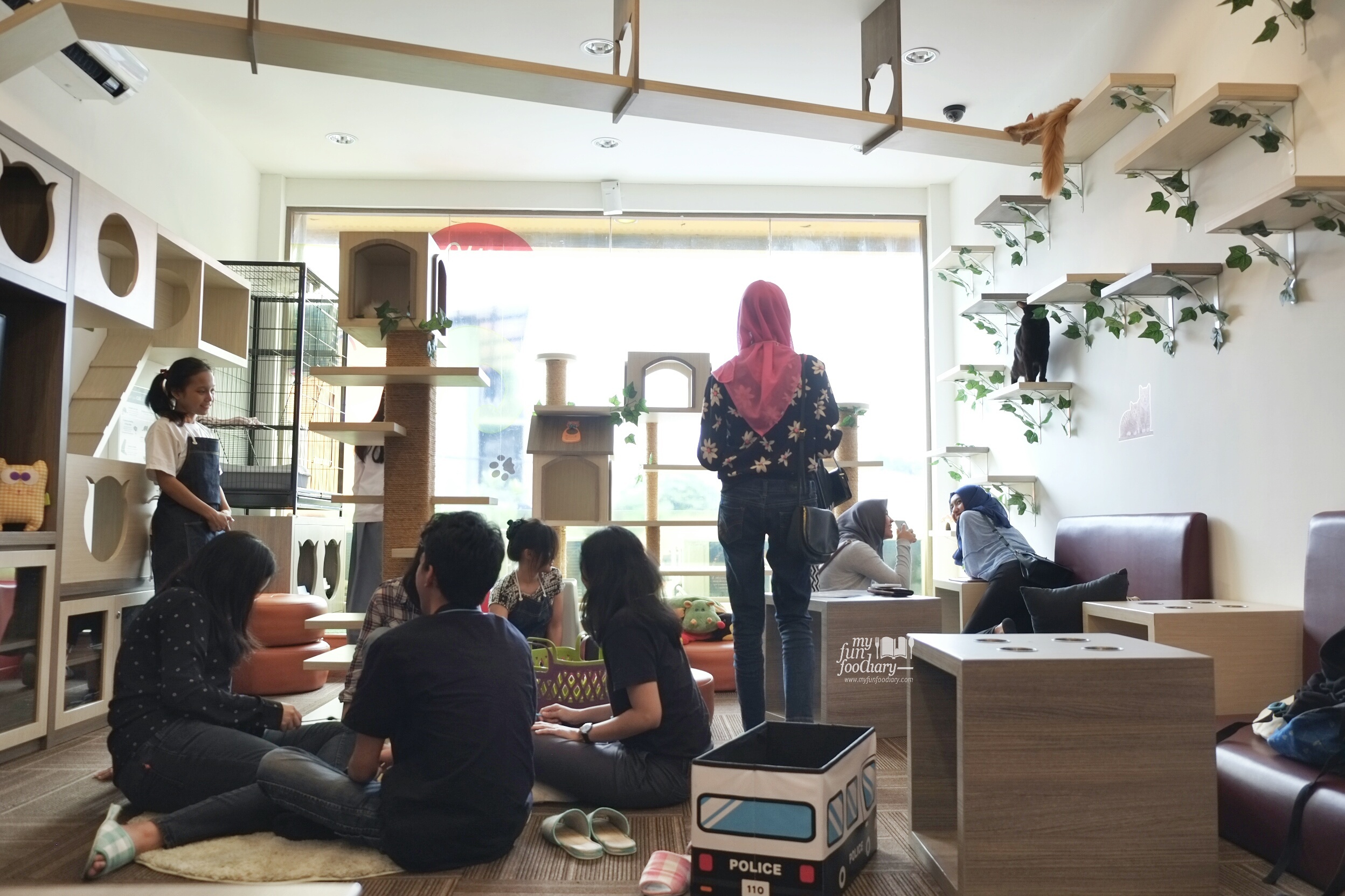 Cutie Cats Cafe, Kafe Kucing Pertama Di Indonesia | FROZZAHOLIC